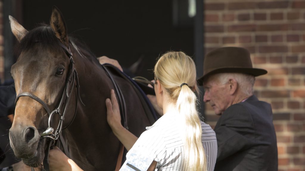 4.6 Peter Maughan | British Horseracing Authority