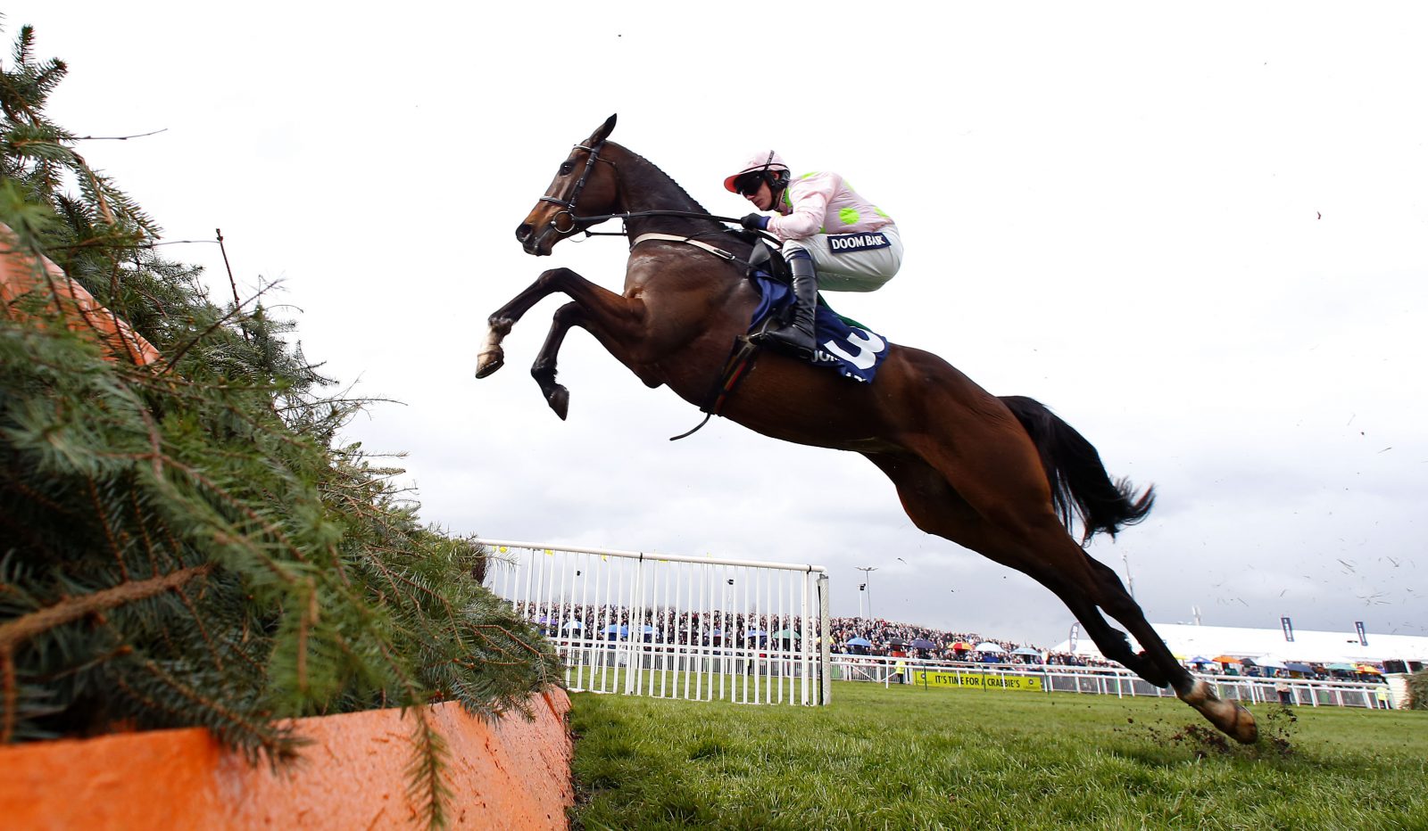 Douvan-Ain6 | British Horseracing Authority