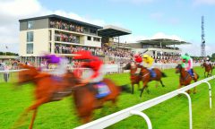 Home - The British Horseracing Authority