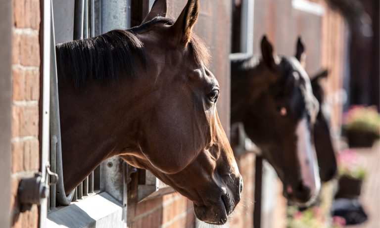 Racing Colours - The British Horseracing Authority