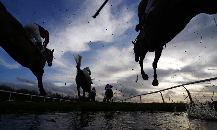 festival - The British Horseracing Authority