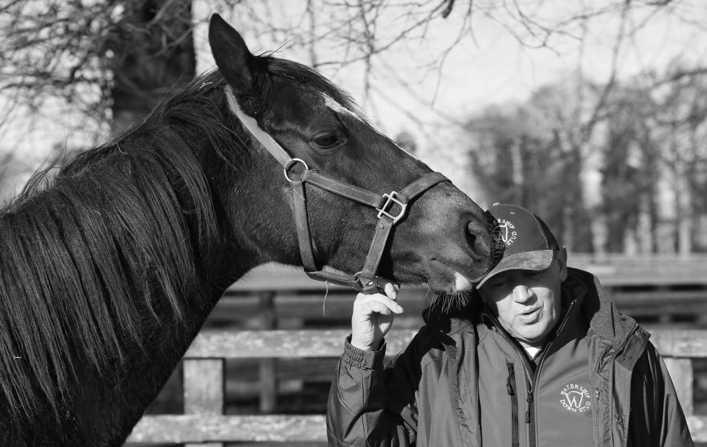Terry Doherty: What it means to win the Godolphin Stud & Stable staff ...