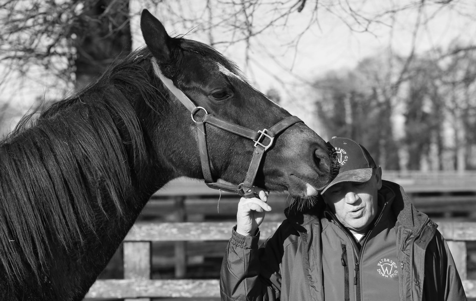 Terry Doherty: What it means to win the Godolphin Stud & Stable staff ...