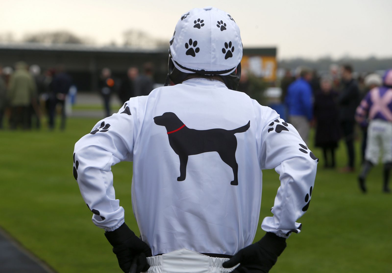Racing Colours | British Horseracing Authority