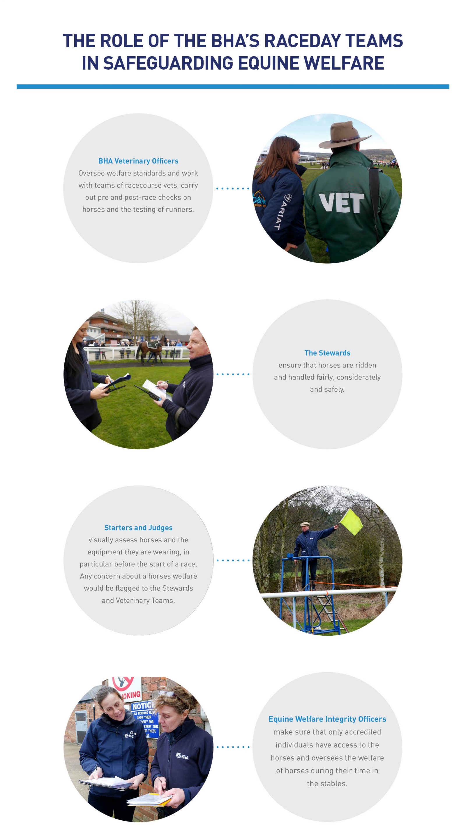 The role of the BHA in horse welfare | British Horseracing Authority