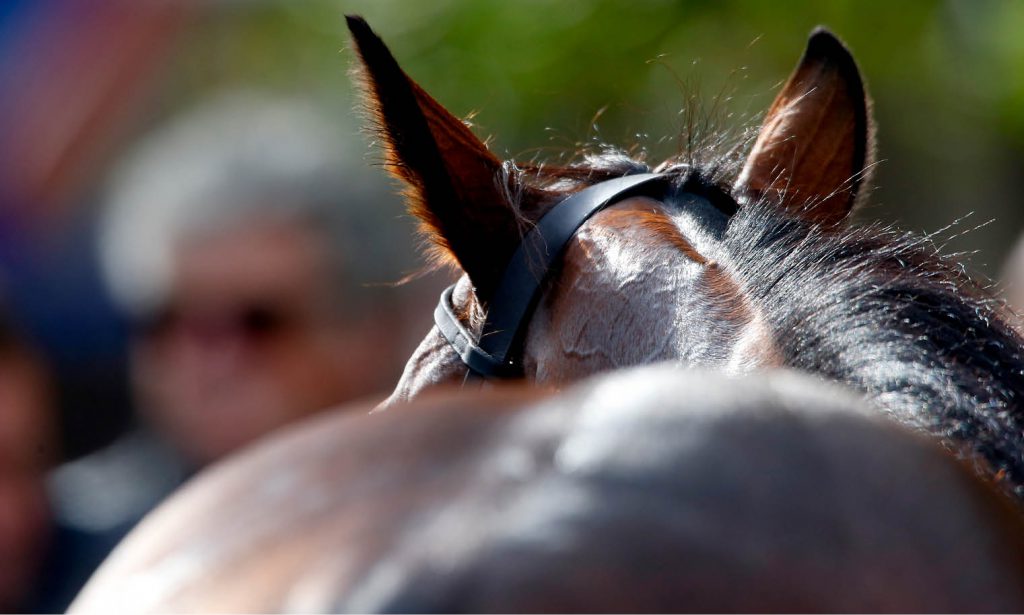 BHA publishes 2026 fixture list | British Horseracing Authority