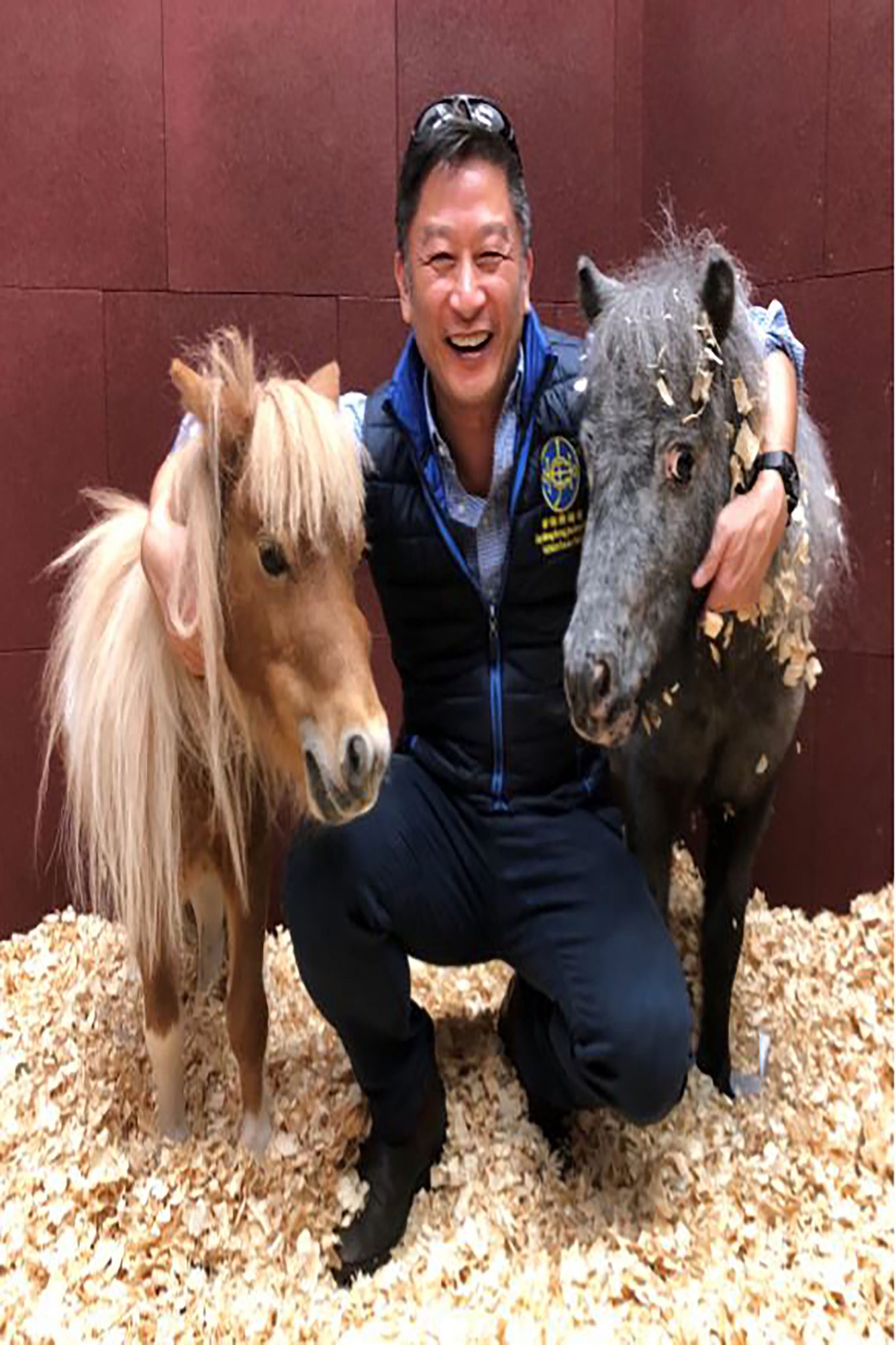 Dr Cedric Chan updated pic | British Horseracing Authority