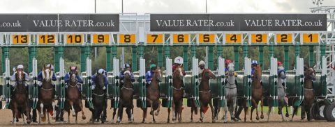 Purebred Arabian (PA) Horseracing | British Horseracing Authority