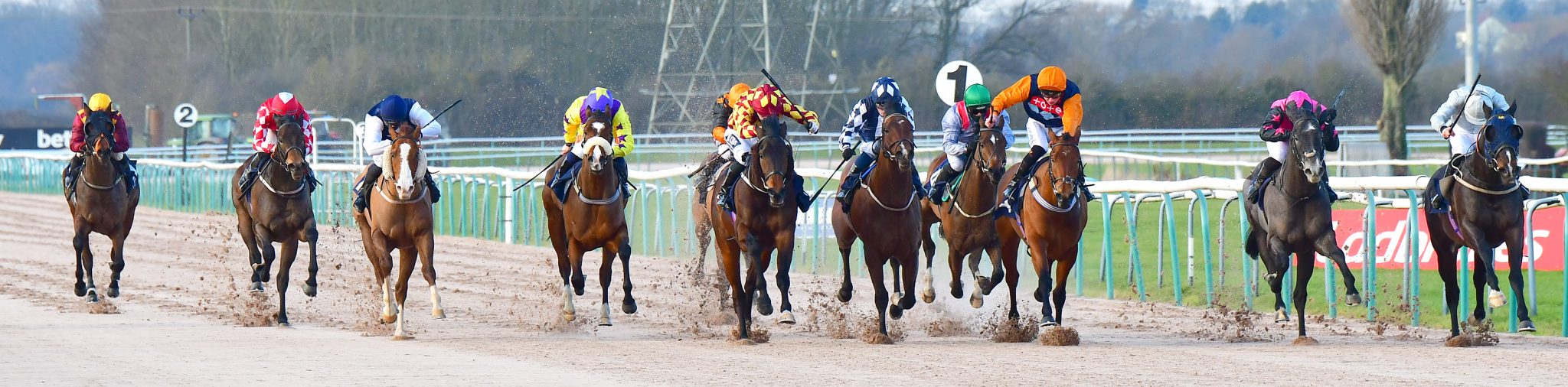 Equine anti-doping forms | British Horseracing Authority