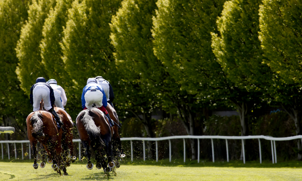 Environmental sustainability project to review racing’s progress and ...