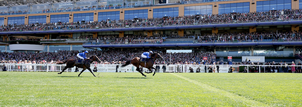 Baaeed cements his claims as the world’s best racehorse | British ...