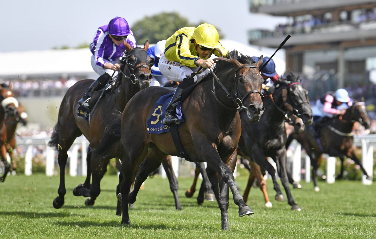 Baaeed cements his claims as the world’s best racehorse | British ...