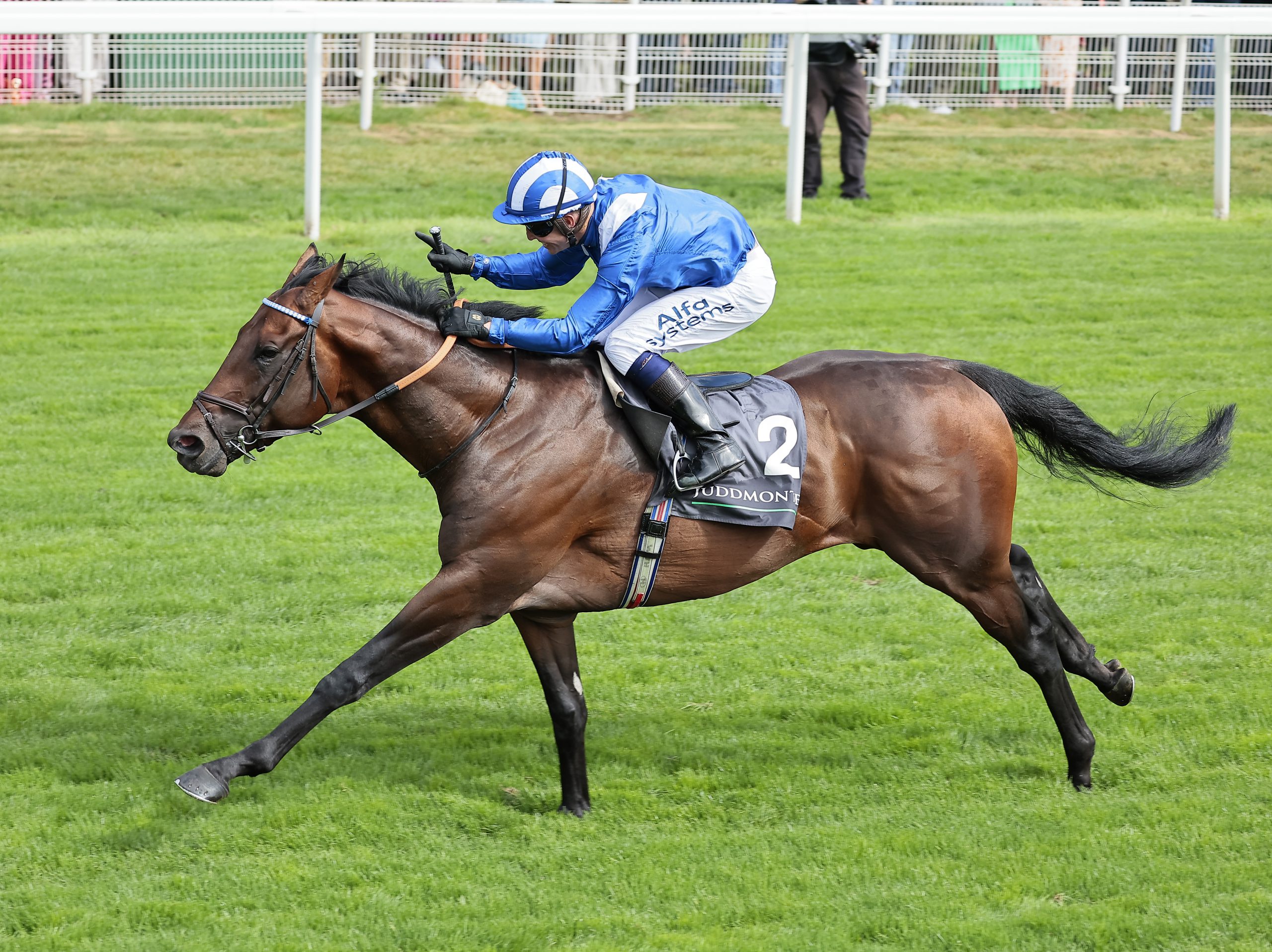 Baaeed – the best since Frankel? - The British Horseracing Authority