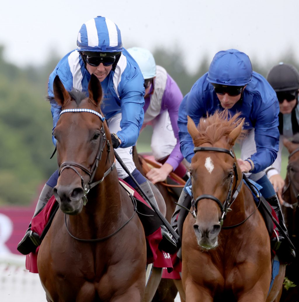 Baaeed bandwagon rolls on | British Horseracing Authority