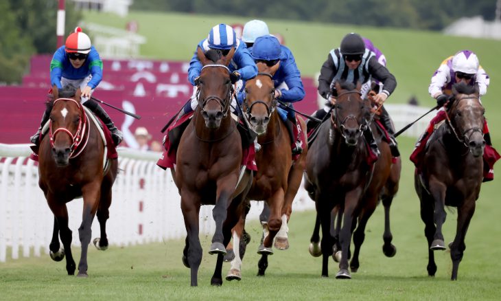 Home - The British Horseracing Authority