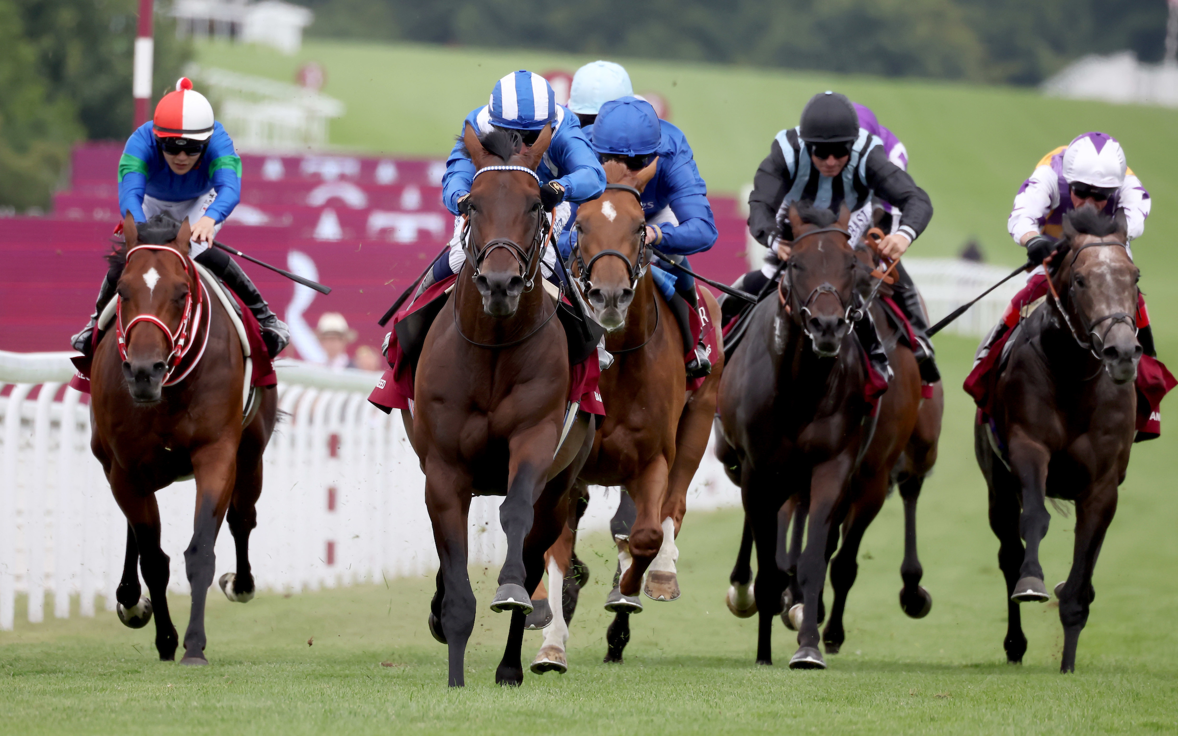 Baaeed bandwagon rolls on - The British Horseracing Authority