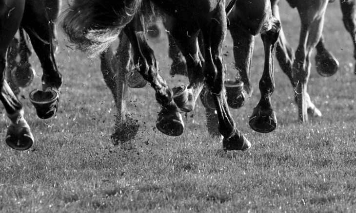 Home - The British Horseracing Authority