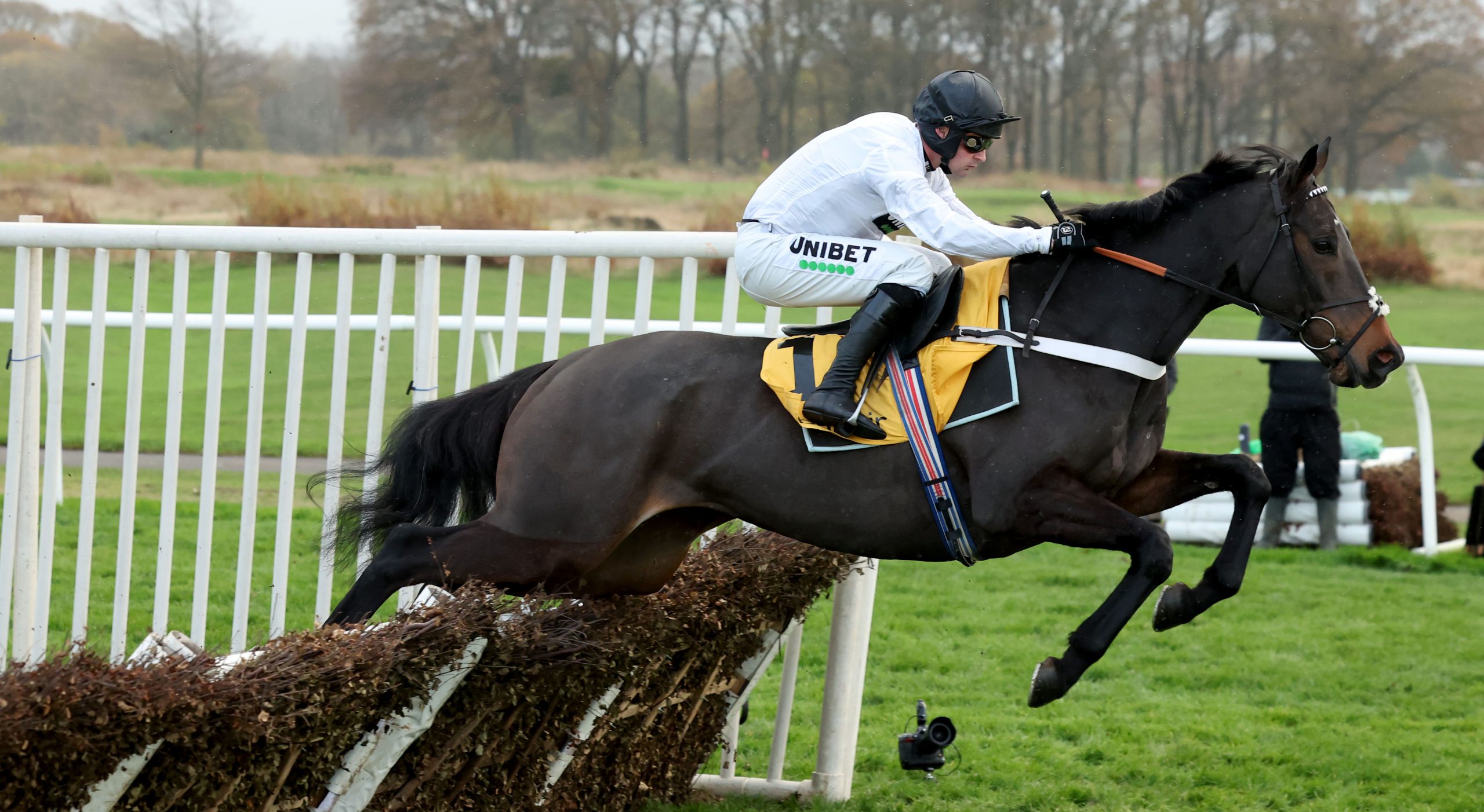 Constitution Hill-26.11.22-26 (1) | British Horseracing Authority