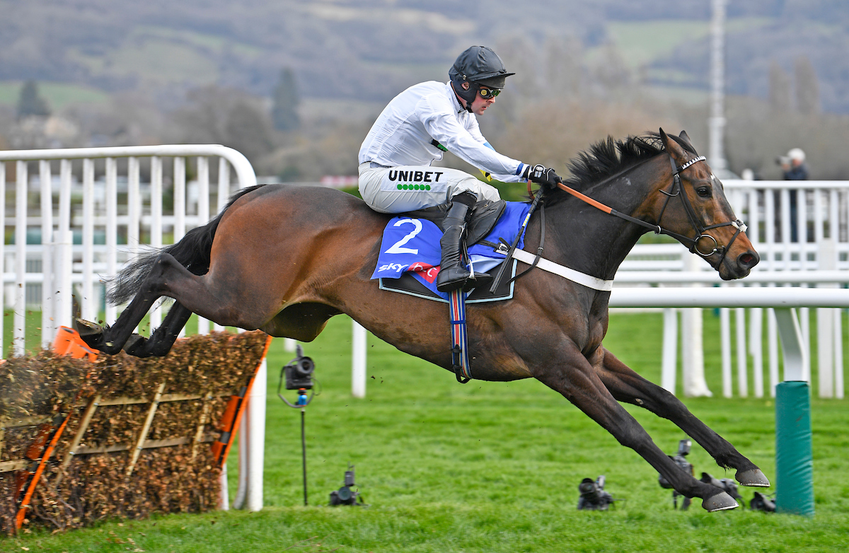 Horse Welfare and Safety is the priority in British Racing | British ...