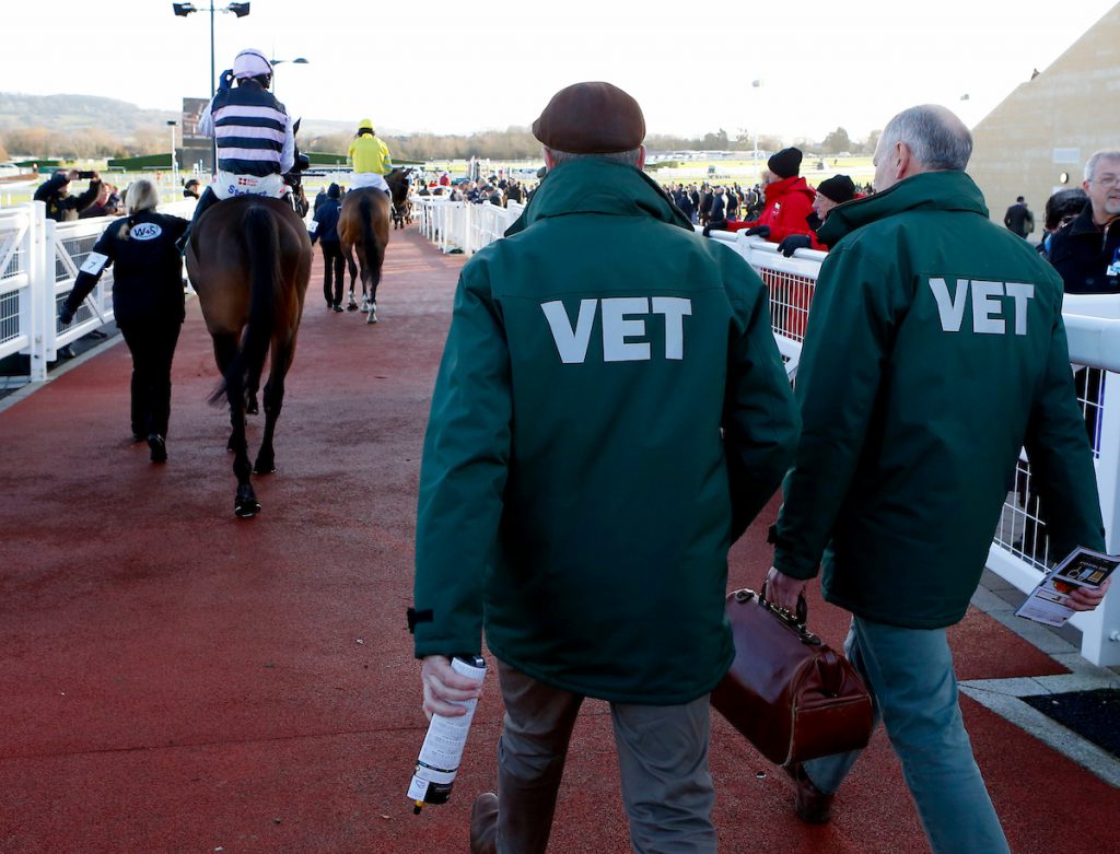 Horse Welfare and Safety is the priority in British Racing | British ...