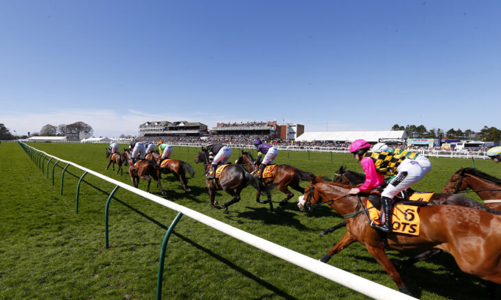 Racing news | British Horseracing Authority