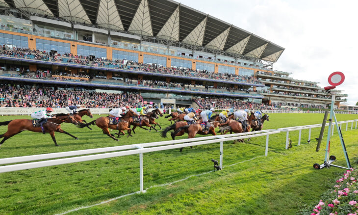 Trainer Profile | British Horseracing Authority