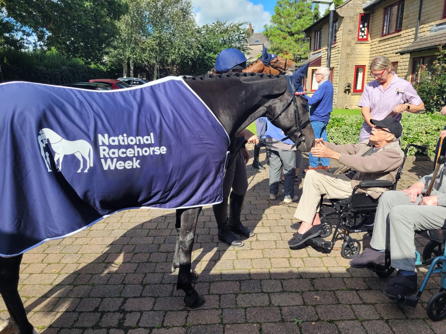 National Racehorse Week gets off to flying start | British Horseracing ...