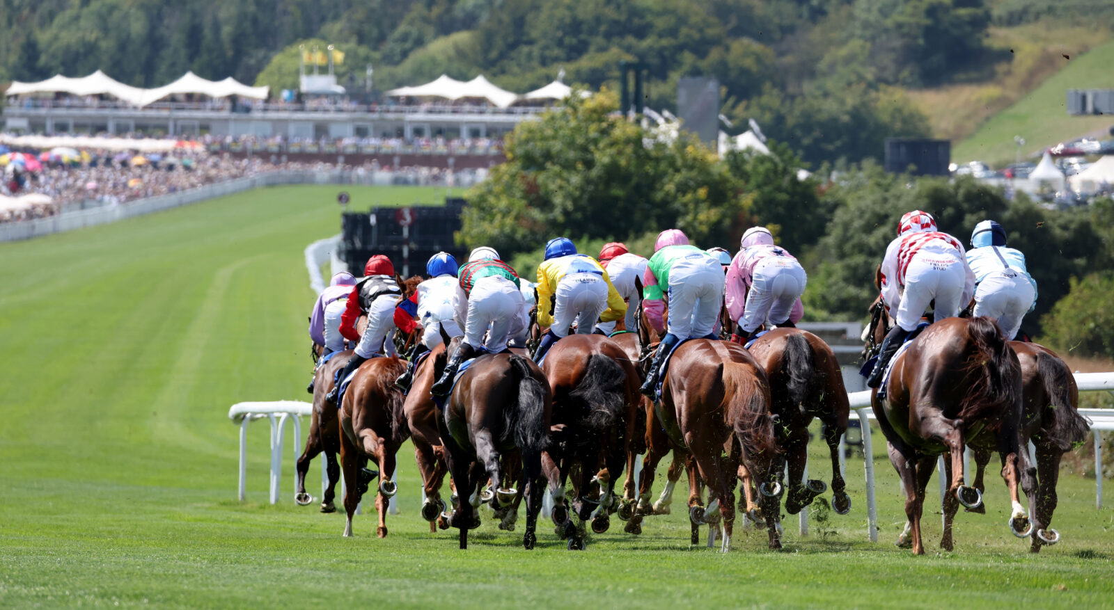 BHA publishes 2025 fixture list | British Horseracing Authority