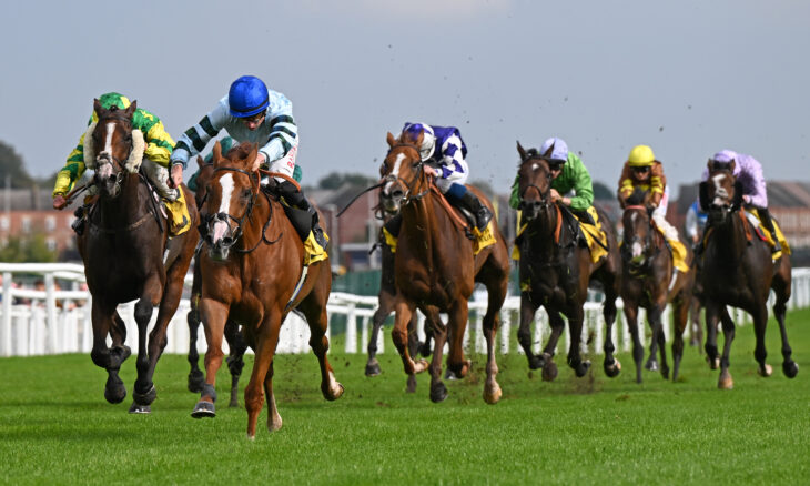 BHA News | British Horseracing Authority