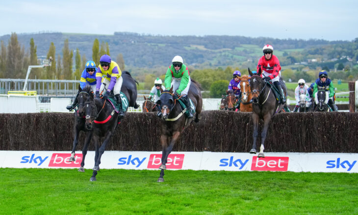 Entries Race | British Horseracing Authority