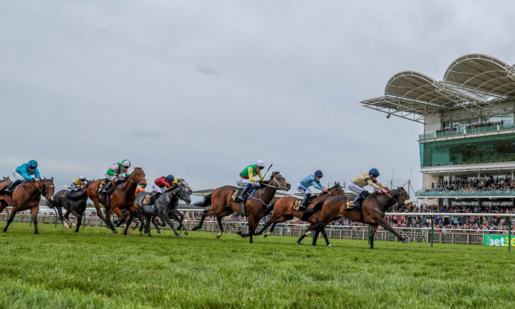 | British Horseracing Authority