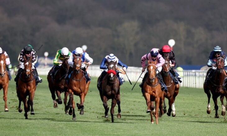 National Horseracing College (NHC) | British Horseracing Authority