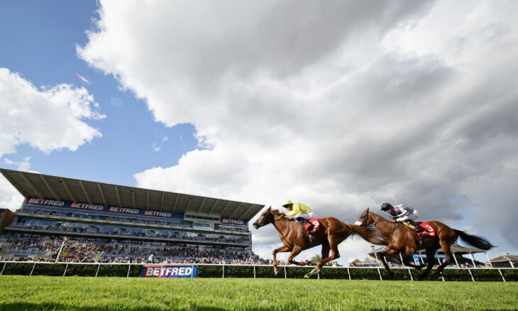 British Horseracing Authority and Great British Racing announce ...