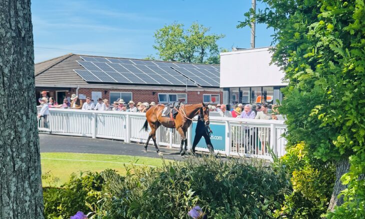 The Racing Digital Hub: making it easier for participants to interact ...