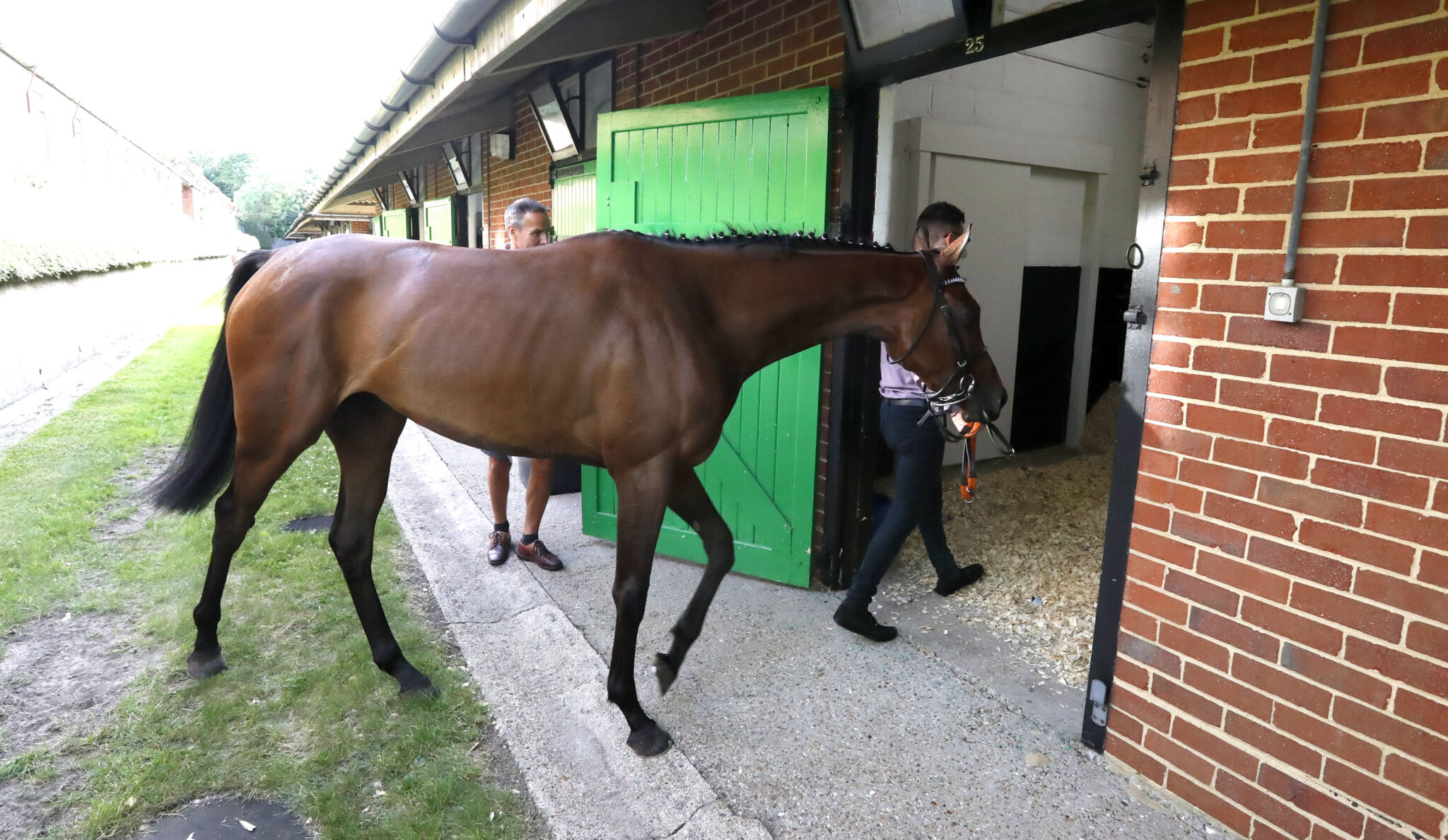Explainer: Equine medication control in British horseracing | British ...