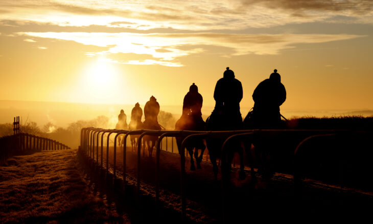 Trainers Map | British Horseracing Authority