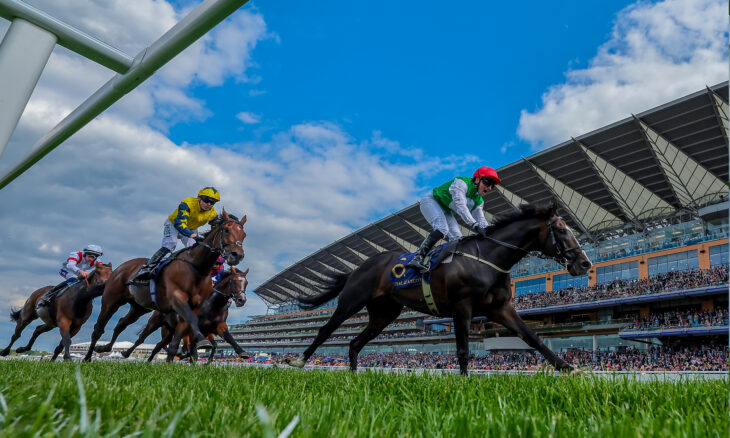 Lord Allen of Kensington appointed as the new Chair of the British ...