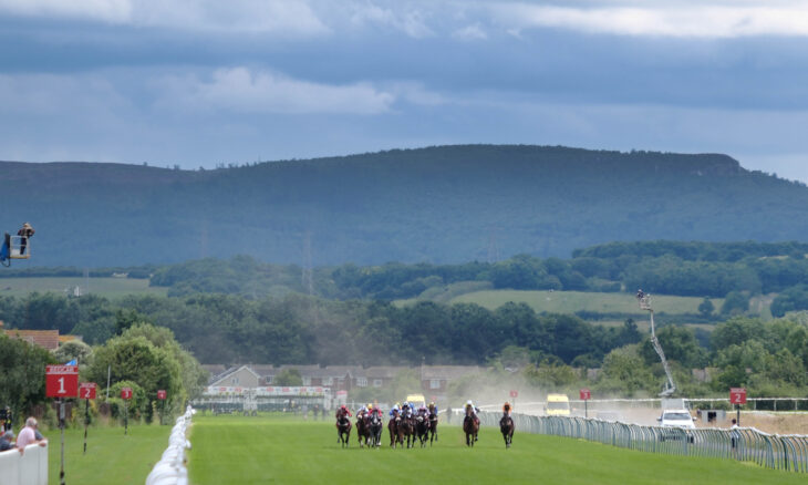 Passport amnesty period launched by Weatherbys for thoroughbred owners ...