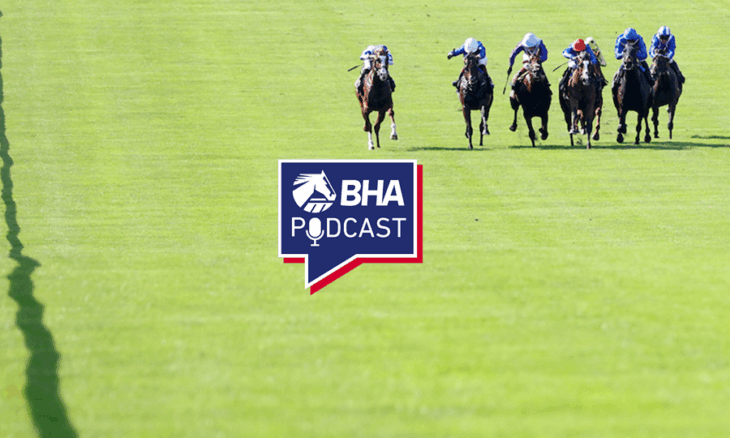 The Racing Digital Hub: making it easier for participants to interact ...