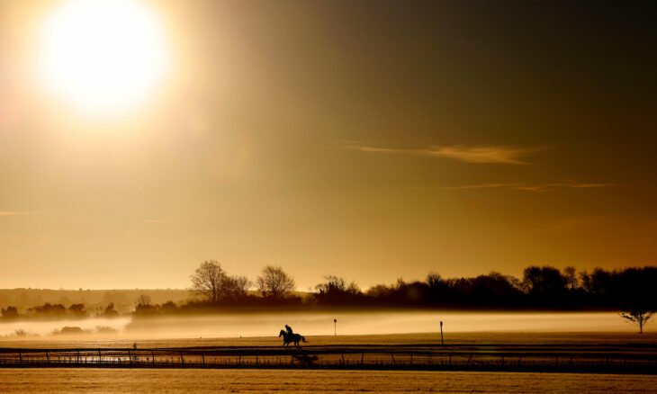 Passport amnesty period launched by Weatherbys for thoroughbred owners ...