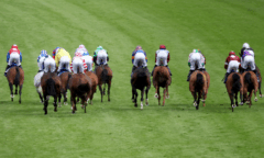 BHA publishes 2026 fixture list | British Horseracing Authority