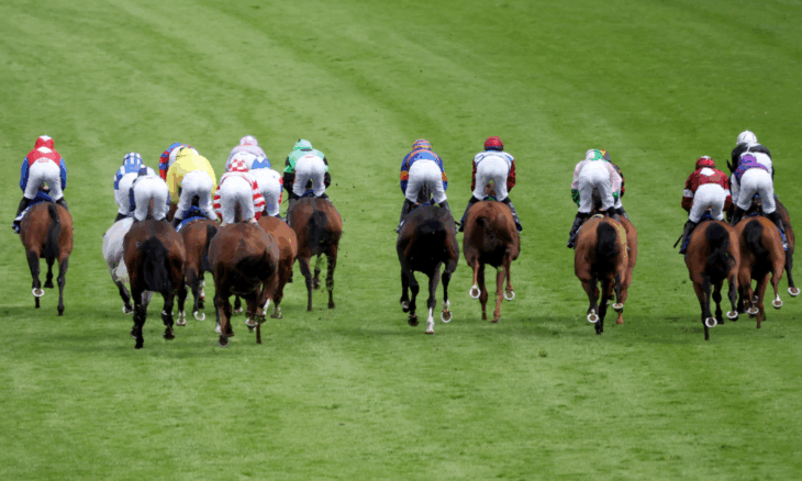Baroness Minette Batters appointed as Independent Chair of the Horse ...