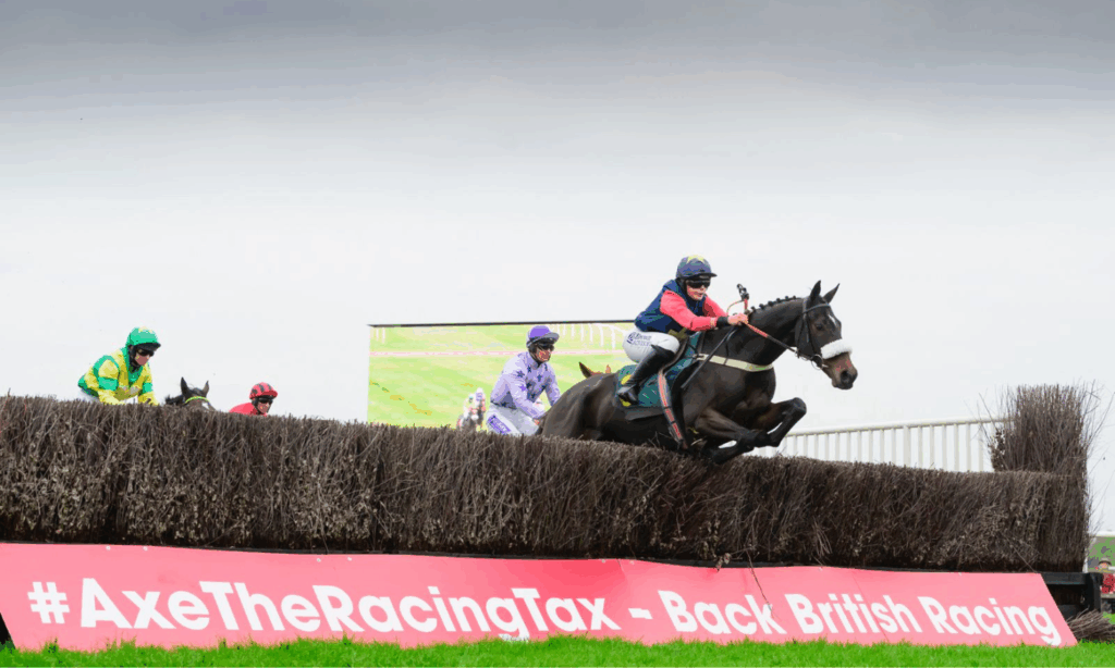 Horse Profile | British Horseracing Authority