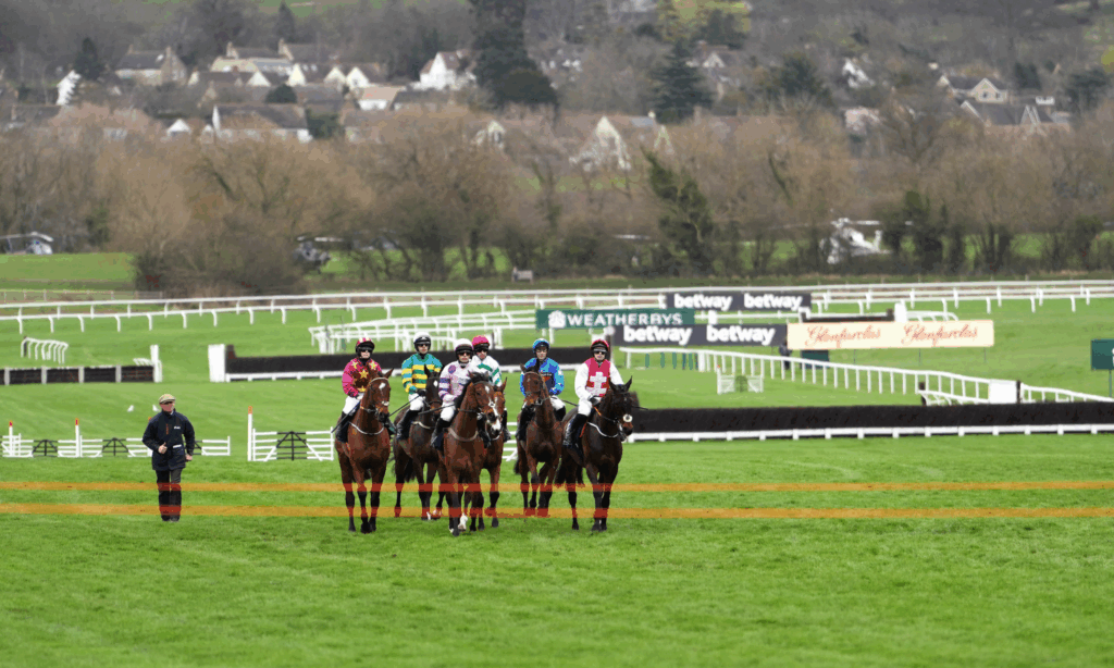 Racecourse | British Horseracing Authority