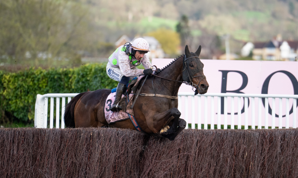 Gold Cup winner Gaelic Warrior heads 2025/26 Anglo-Irish Jumps ...