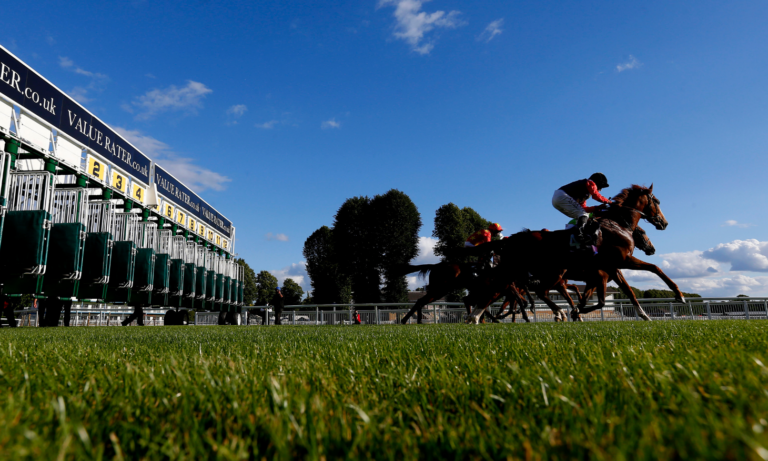 Racecard | British Horseracing Authority